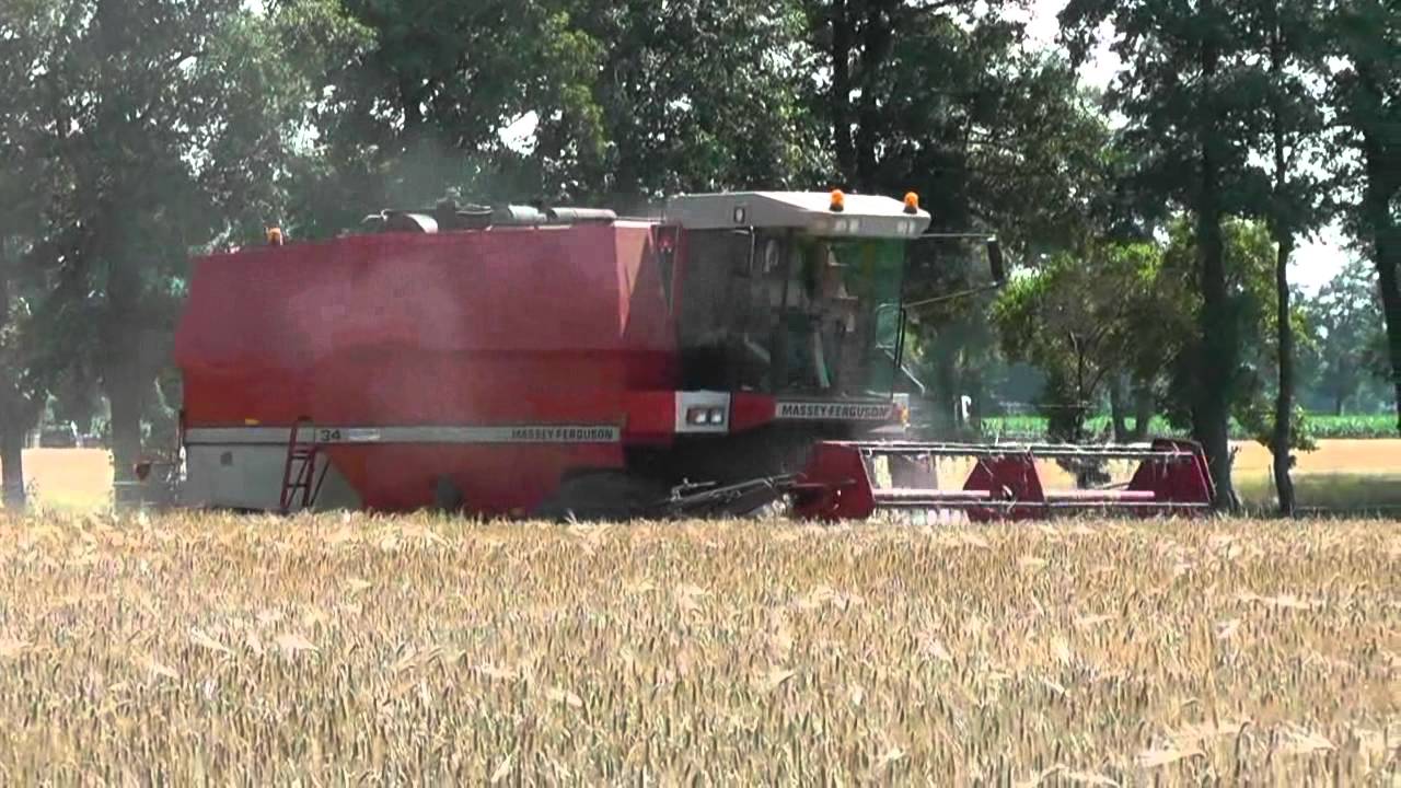 Combining Barley with MF 34 (HD) - YouTube