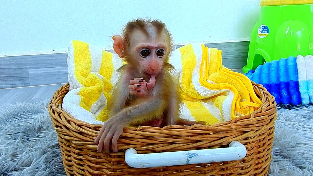 Baby waiting dad in relaxed place waiting dad take a drink for him ...