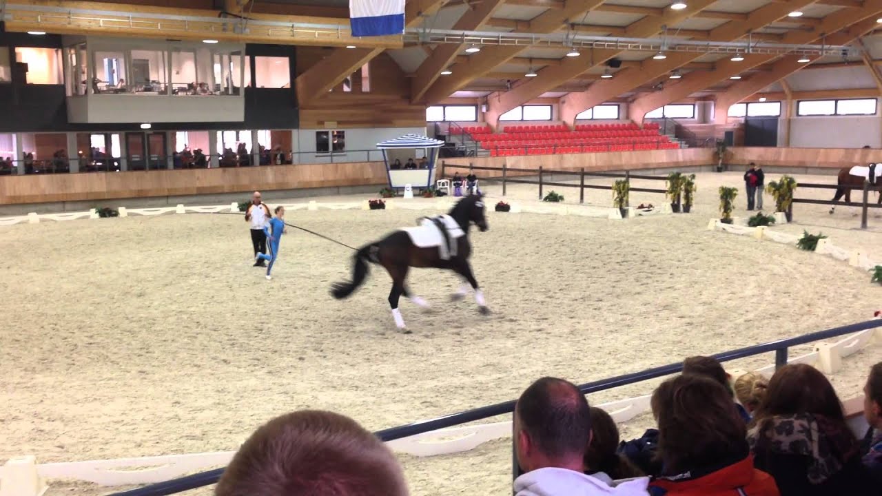 Christine Kuhirt CVI Ermelo 2014 - Pflicht - YouTube
