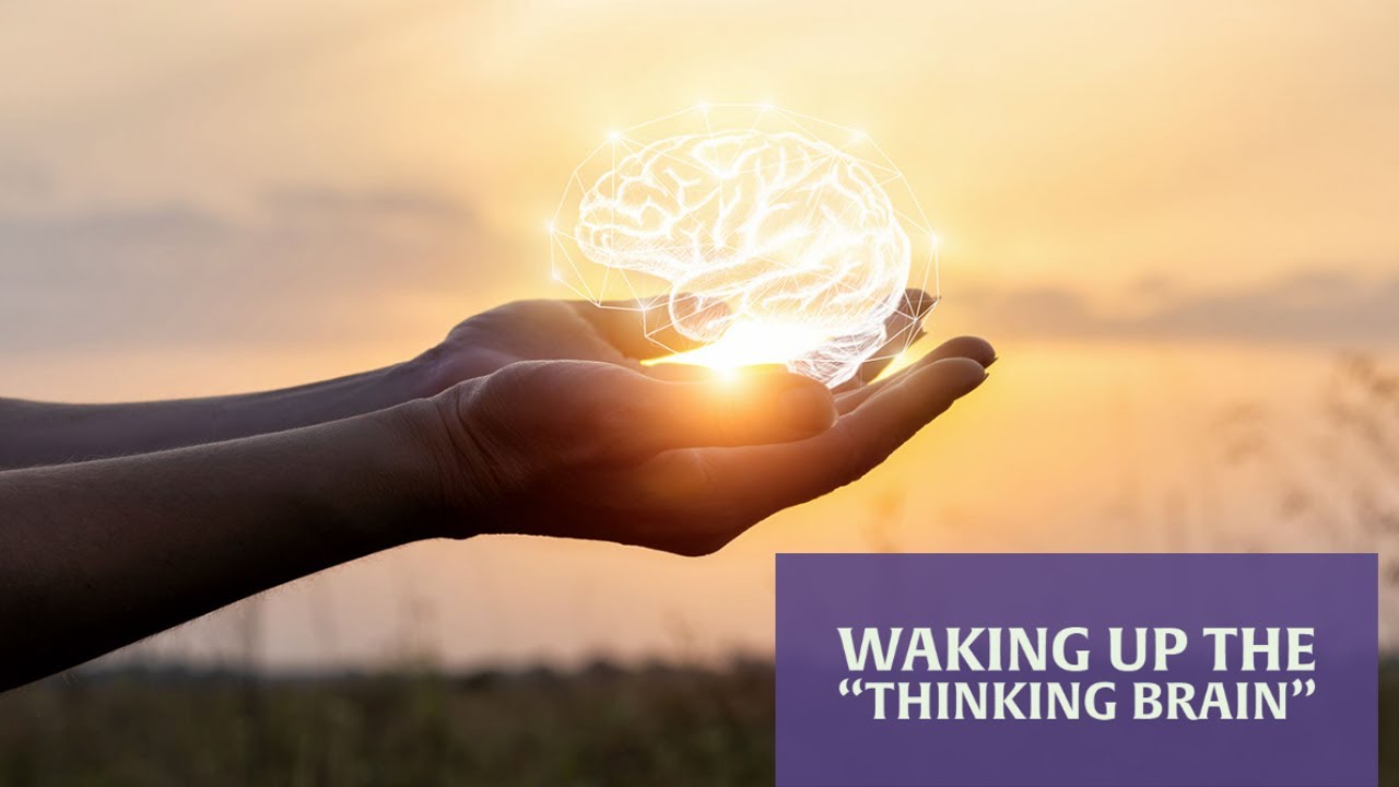 Waking Up the “Thinking Brain” | Dr. Janina Fisher - YouTube