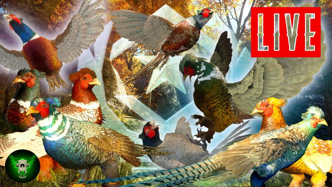 🔴LIVE! Let's Get G1 #40 the G1 Pheasant! - YouTube