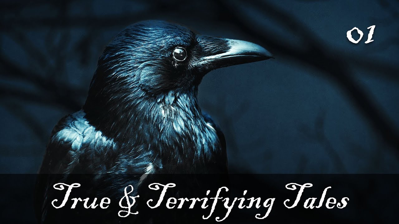 15 TRUE Paranormal Stories in the Rain | True & Terrifying Tales [01 ...