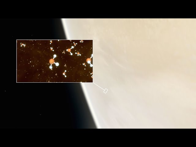 Venus Life Signs