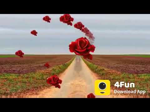 Roma subba Iandian Funny Videos, WhatsApp Status - 4Fun