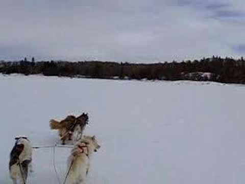 Gee/Haw SKills - YouTube