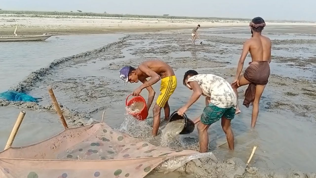 Fish Videos 2023 - Amazing Fisherman Catch Fish By Net in River Side ...