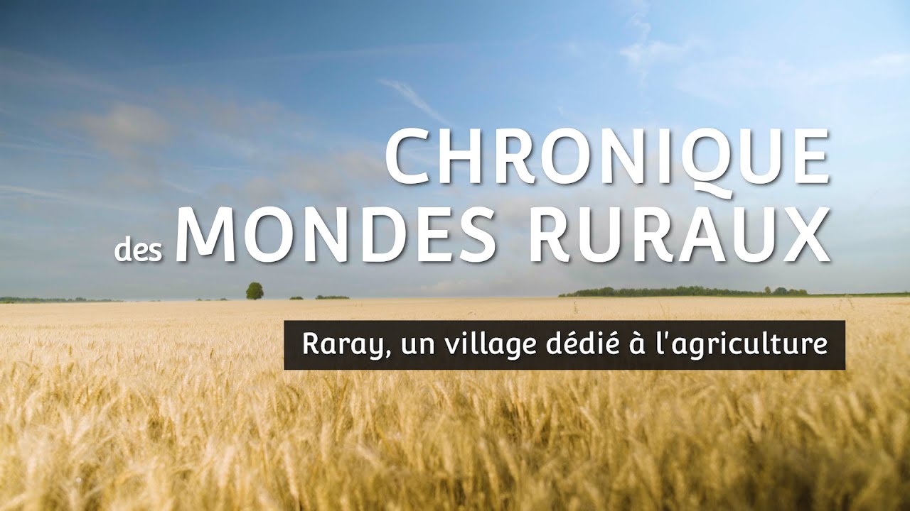 Histoire d'un village dédié à l'agriculture | Raray, Oise - YouTube