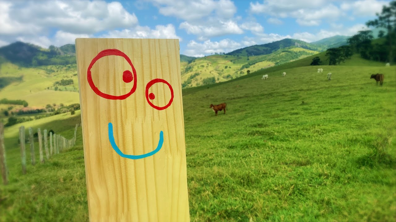 My Best Friend Plank Music Video - YouTube