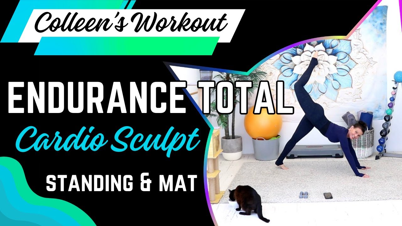 COLLEEN'S WORKOUT // 60 MIN ENDURANCE TOTAL CARDIO SCULPT // STANDING ...