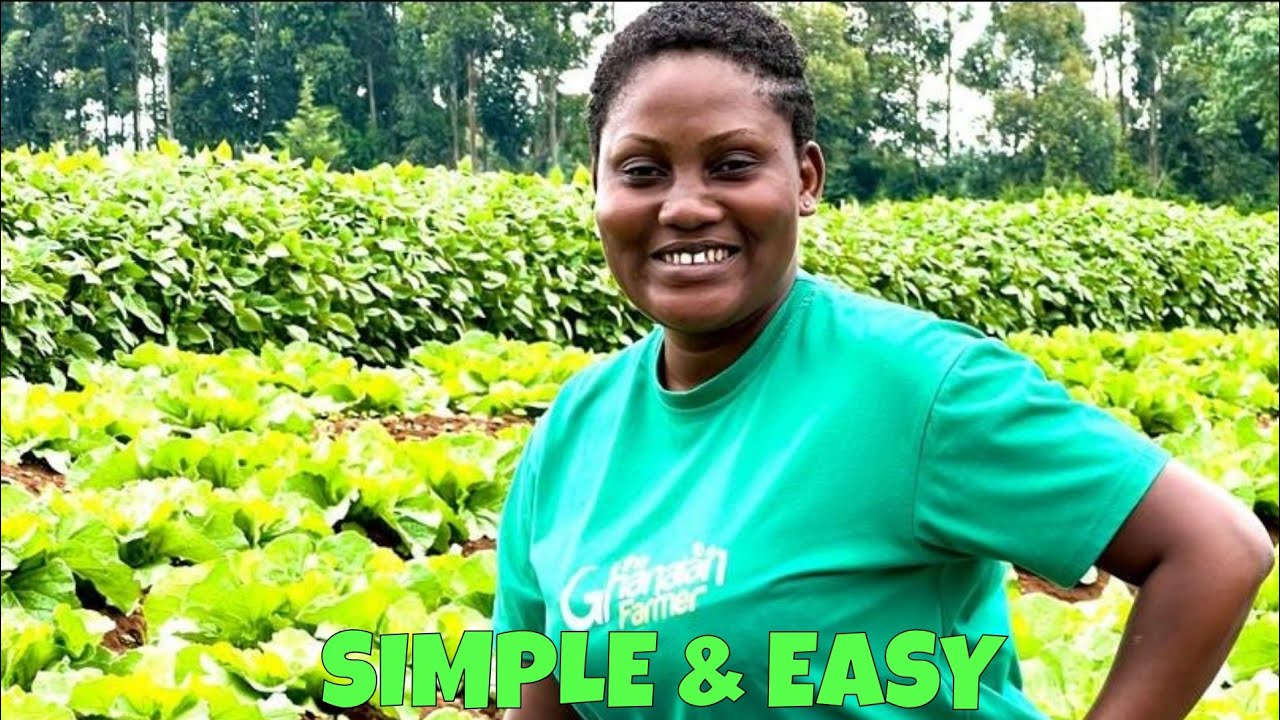 How To Start A Farm & Operate It 24/7 In Ghana Without Always Being ...