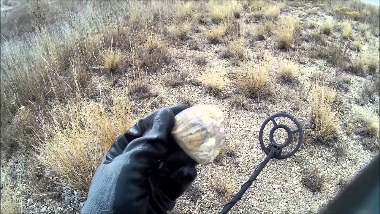 Metal Detecting: Fossils and Random Stuff - YouTube