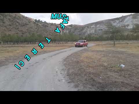 Mustafa Tereci - Sarma Doktor