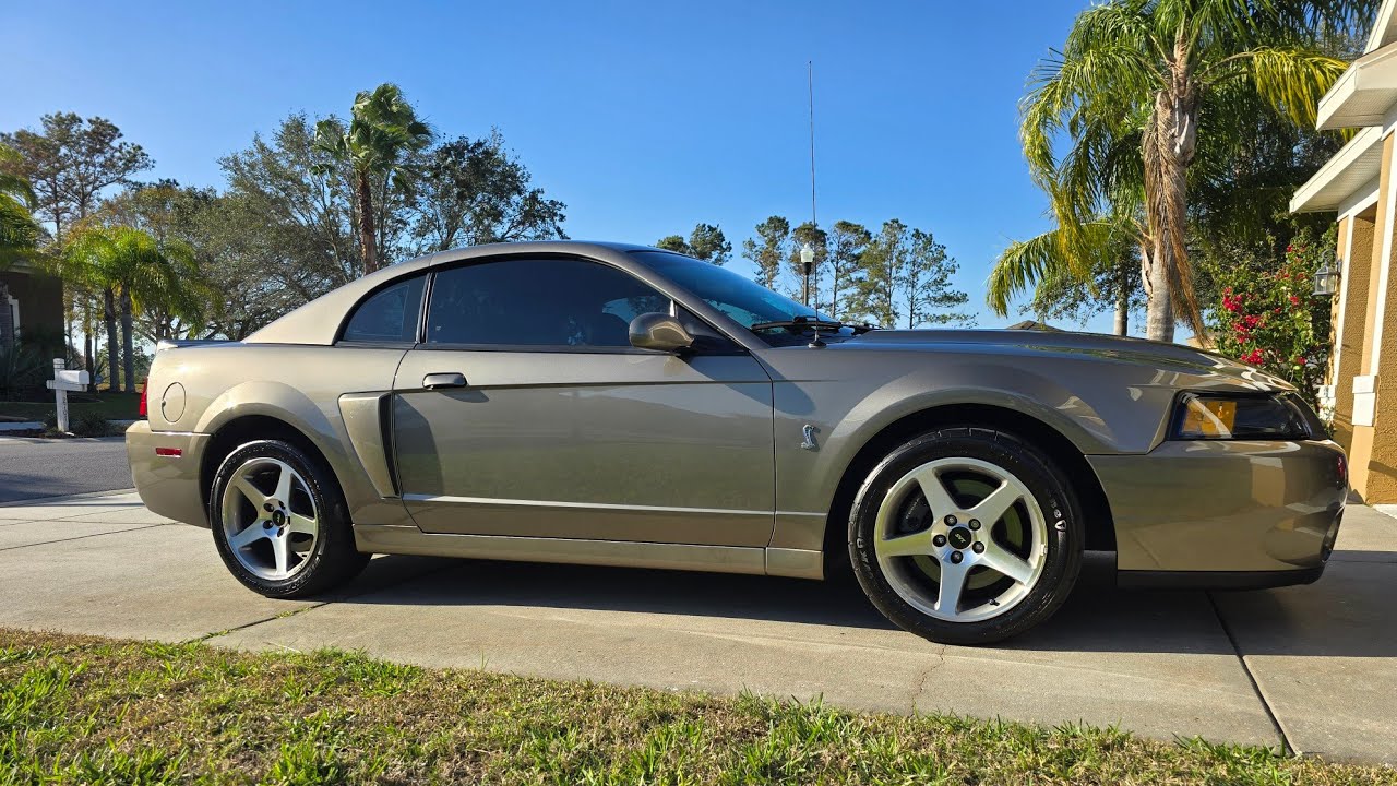 2003 Mineral Grey Cobra walk around, full paint correction and ceramic ...