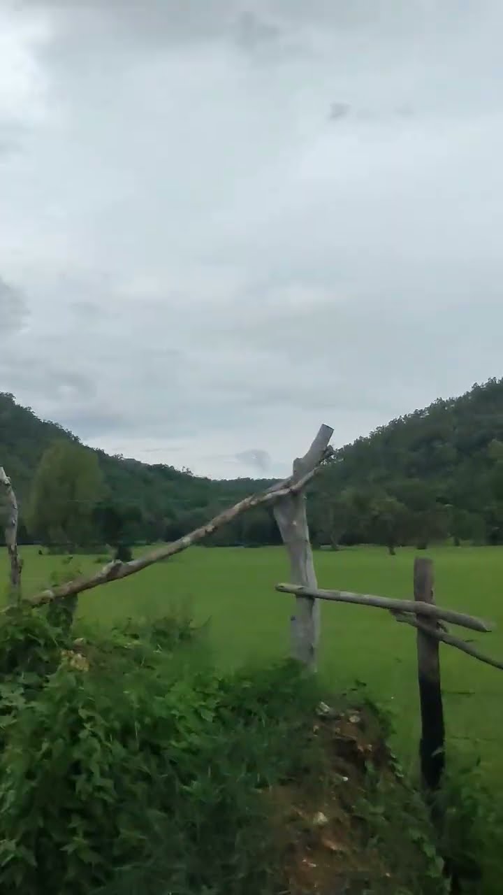 Short Paddock Yulo King Ranch - YouTube