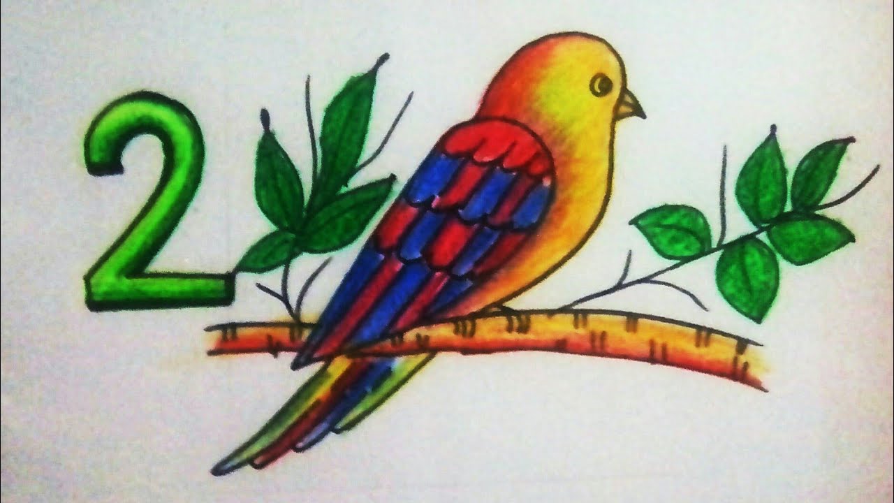 how to draw bird with two l bird drawing l pakhi drawing l পাখি আঁকা ...