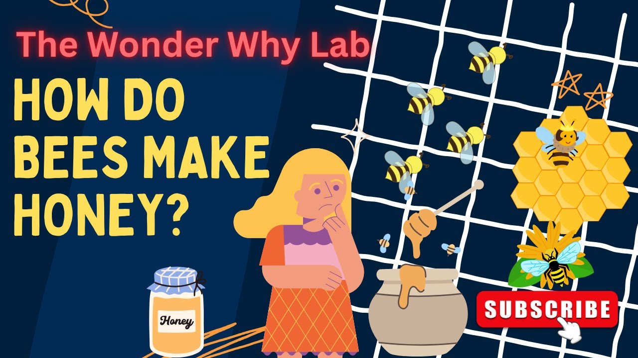 Science for Kids: How Do Bees Make Honey? | The Wonder Why Lab - YouTube