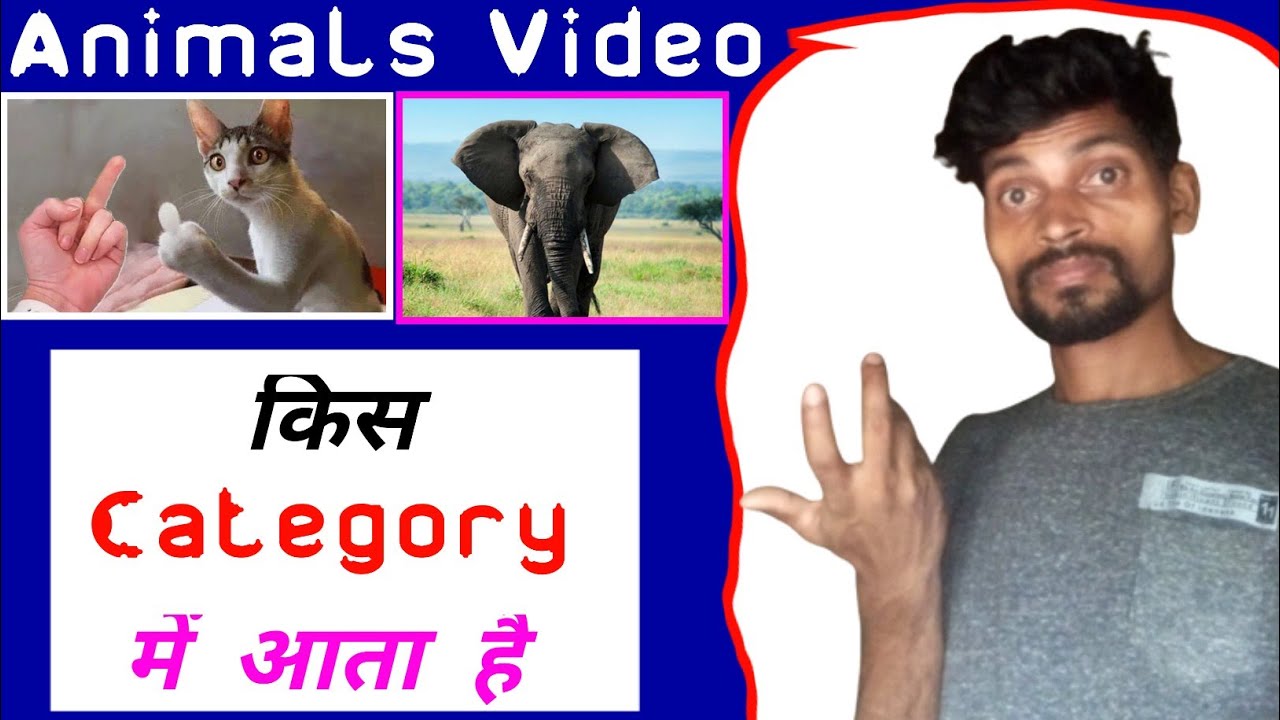 Animals Ki Video Kis Category Mein Aata Hai l how to select category on ...