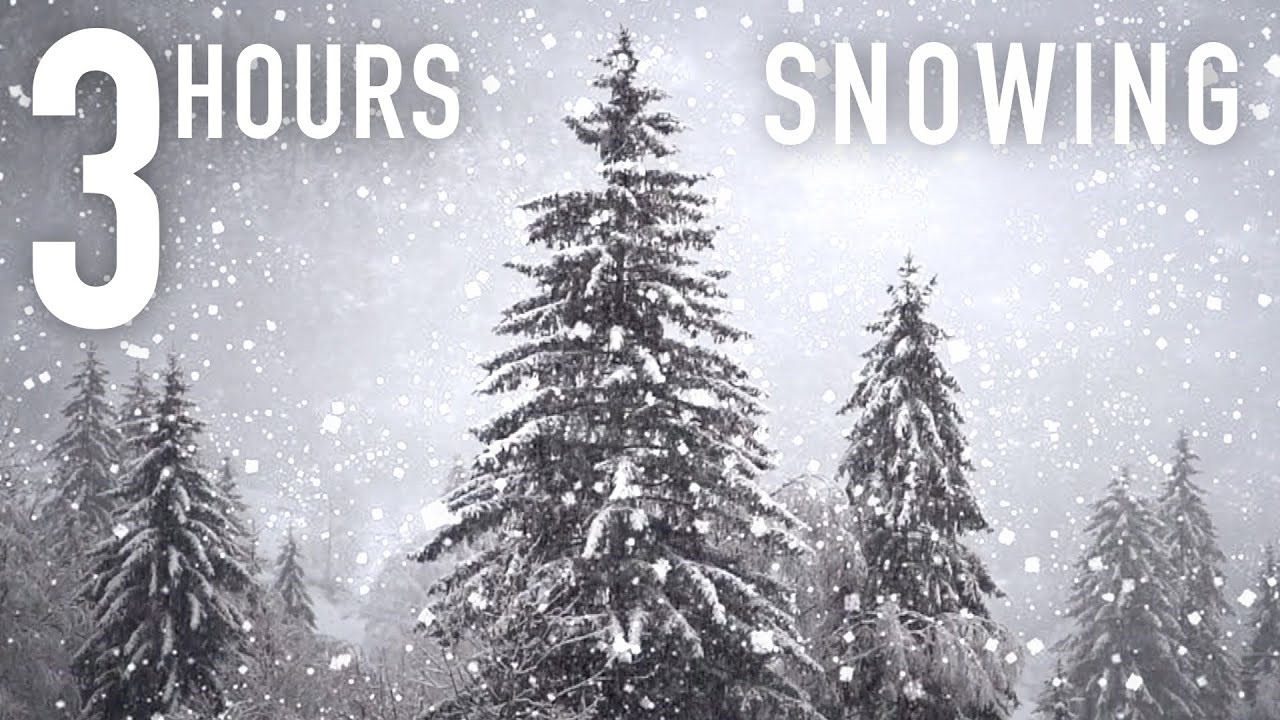 3 HOURS Blizzard Storm Sounds | Relaxing Winter Background Sounds ...