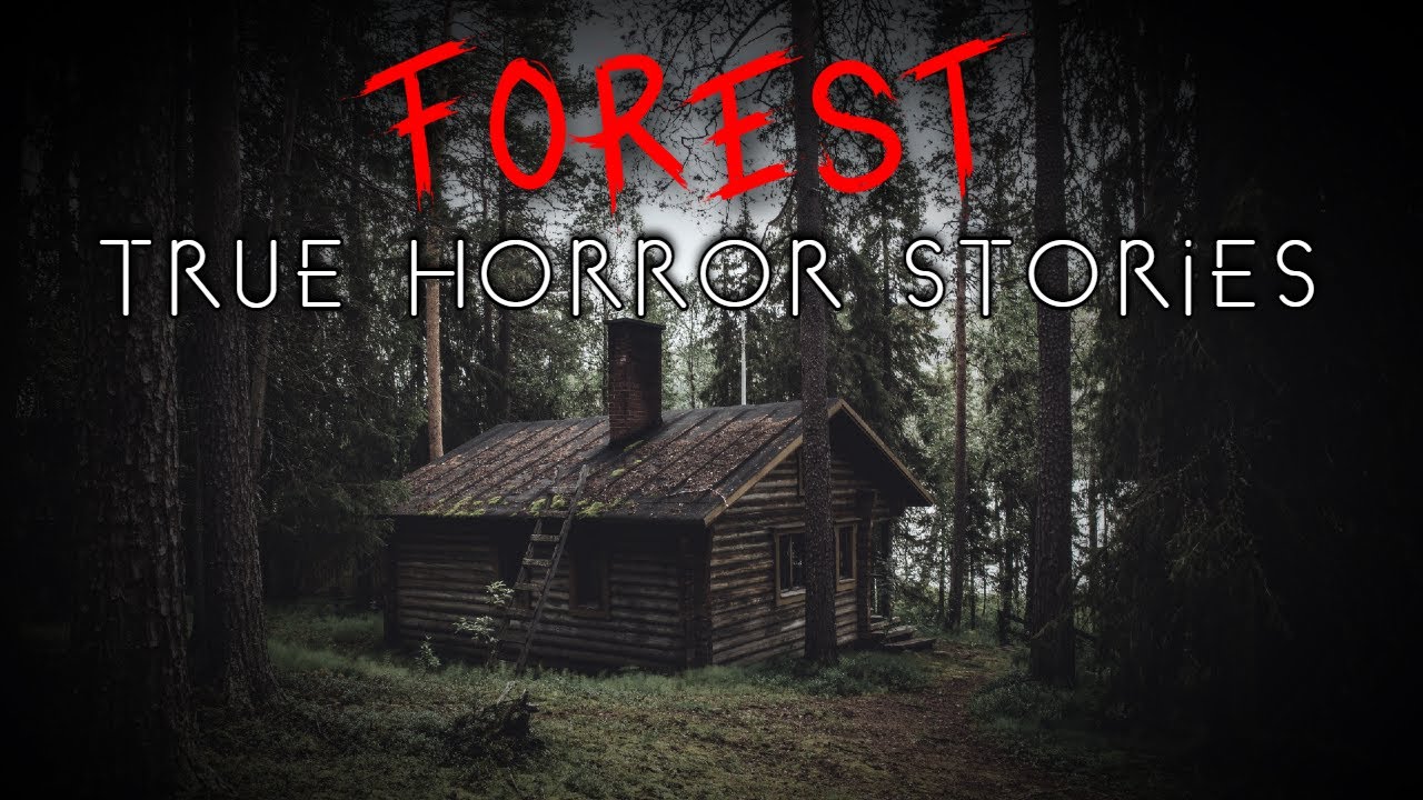 3 True Disturbing Forest Horror Stories (Vol. 2) - YouTube