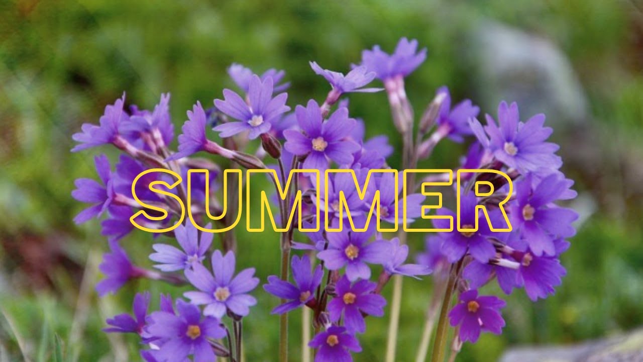 Summer relaxing music | deep sleep | calming music HD - YouTube