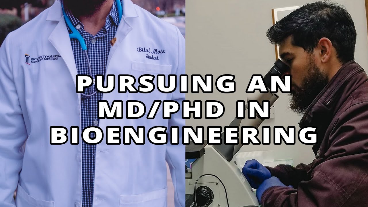 MDPhD Bioengineering? Why I chose biomedical engineering for my PhD ...