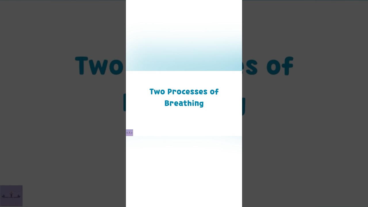 Two processes of Breathing - YouTube