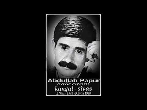 Abdullah papur   Anam