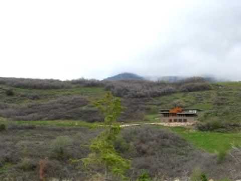 Emigration Oaks Lot #2 - YouTube