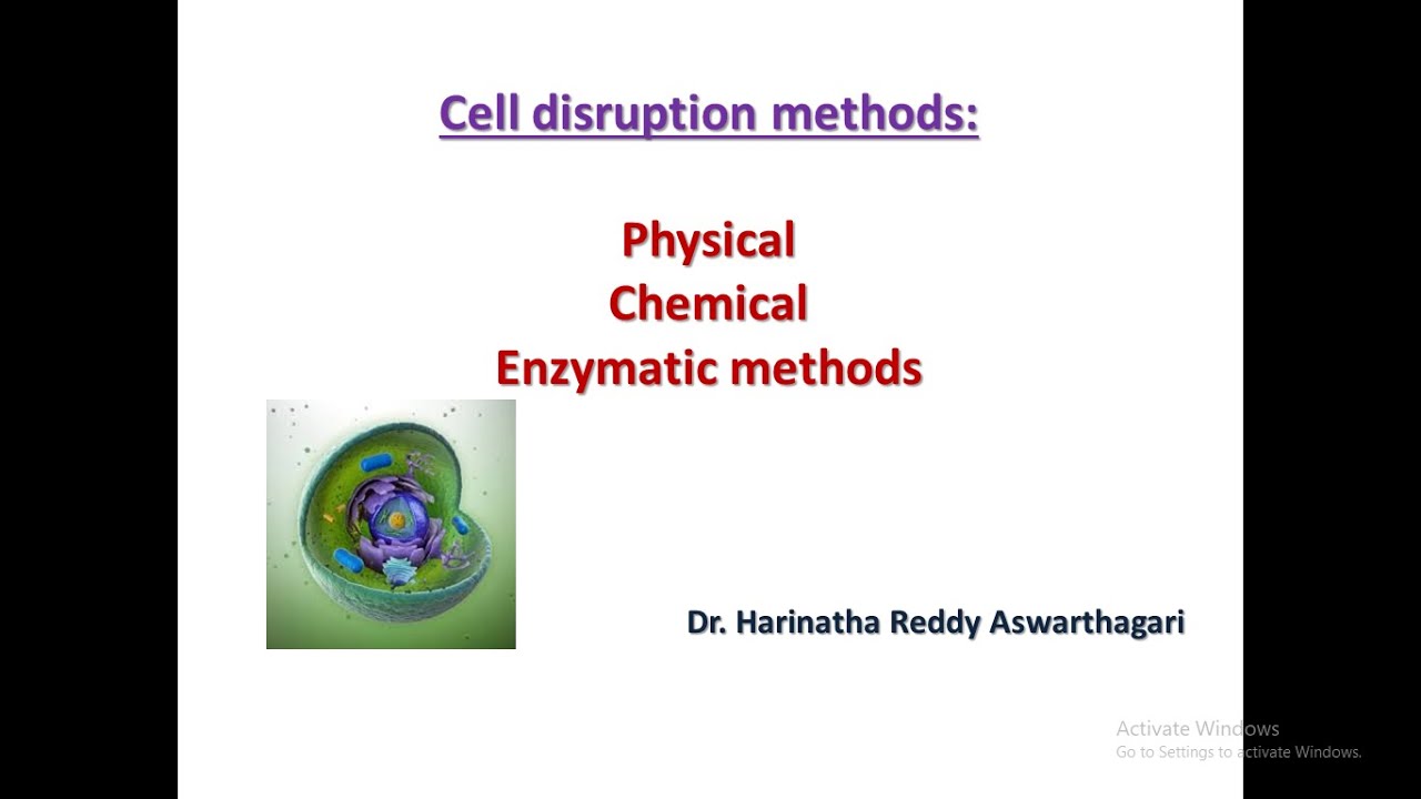 Cell disruption methods - YouTube