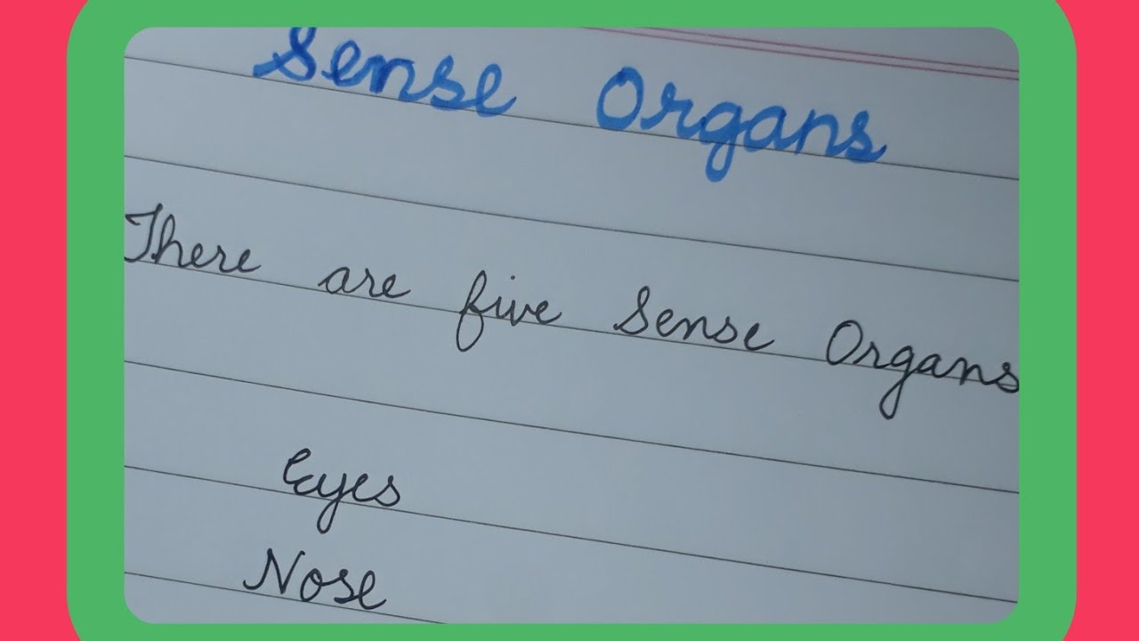 sense-organs-write-how-many-sense-organs-are-their-in-human-body