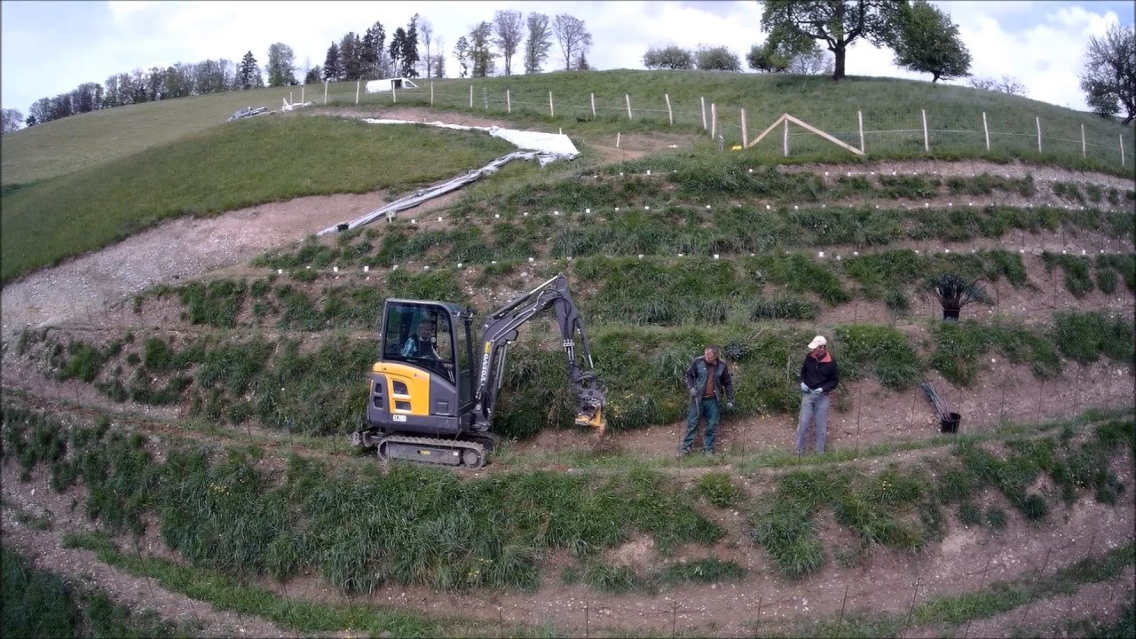 Reben setzen Wyliberg - YouTube