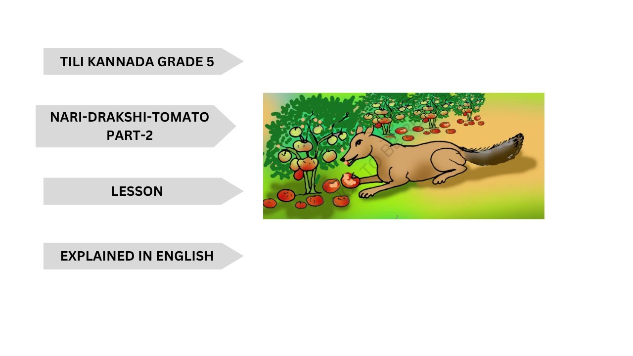 TILI KANNADA GRADE 5 LESSON NARI-DRAKSHI-TOMATO(ನರಿ-ದ್ರಾಕ್ಷಿ-ಟೋಮೇಟೋ ...