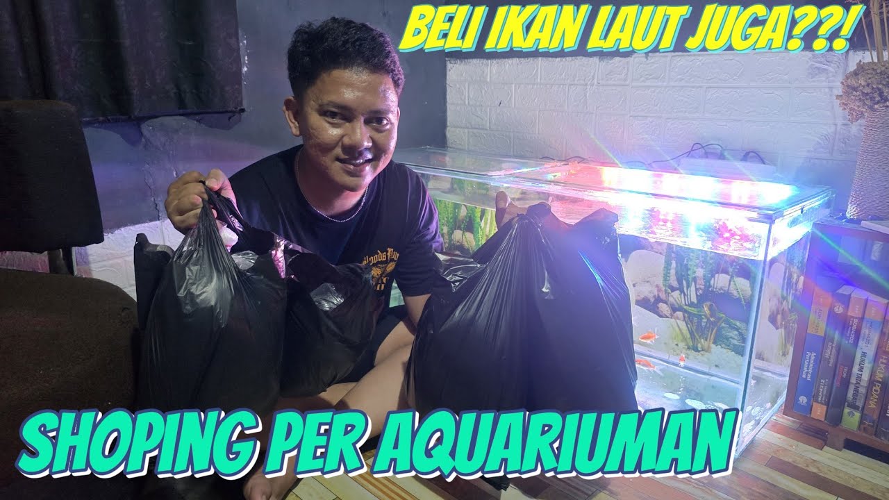 BELANJA PERLENGKAPAN AQUARIUM + BELI IKAN BARU?!! - YouTube
