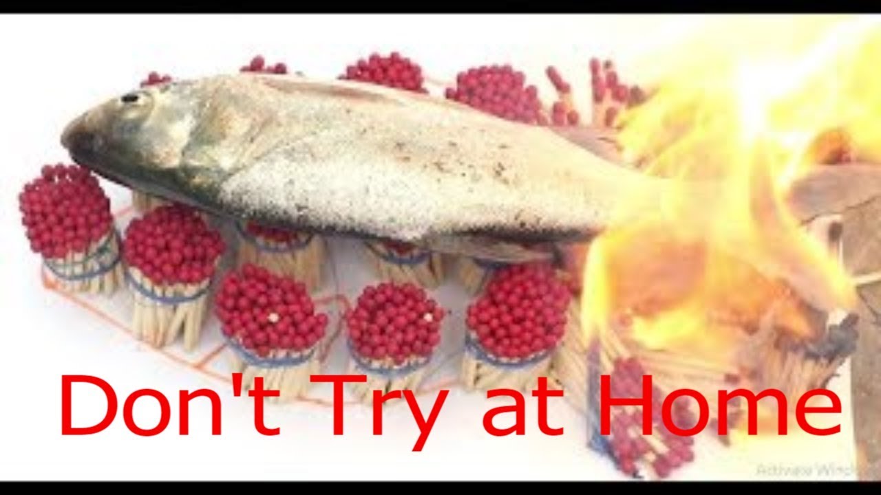 Fire vs Fish: Using 1000 Matches for Fish Fry Experiment. - YouTube