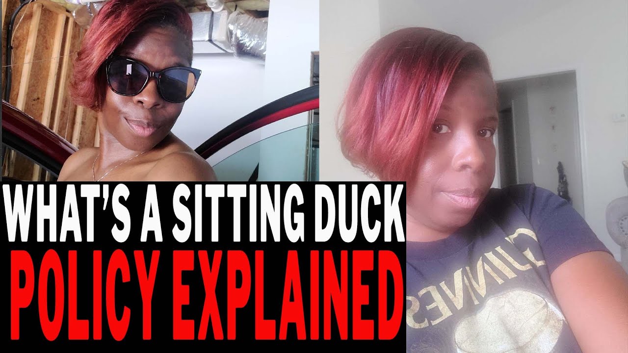 What’s A SITTING DUCK POLICY? Explained | The Recruiter Call Channel ☎ ...