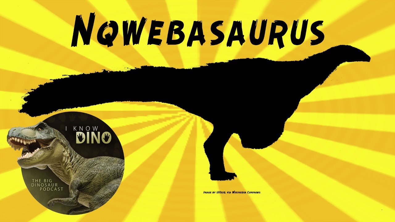 Nqwebasaurus: Dinosaur of the Day - YouTube
