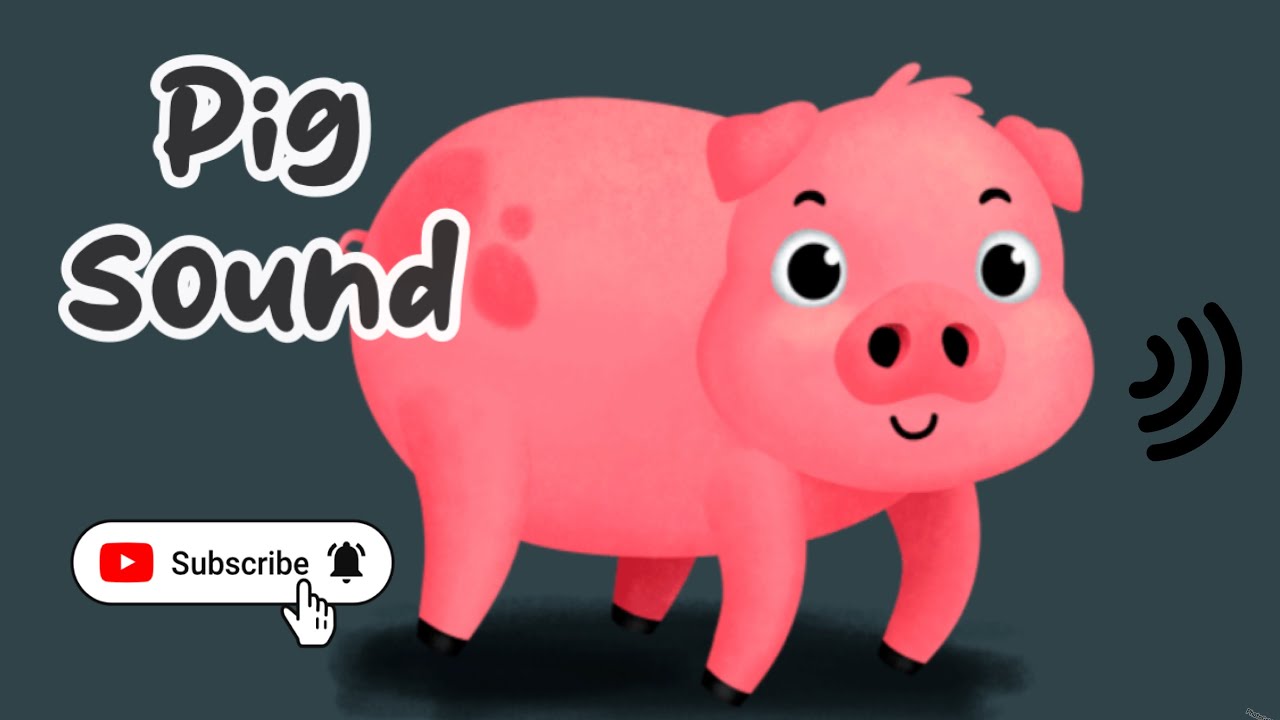 Pig Sound #pig #sound #animals - YouTube