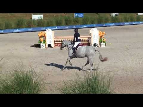Video of Gronk 87 ridden by MADELINE SCHAEFER from ShowNet! - YouTube