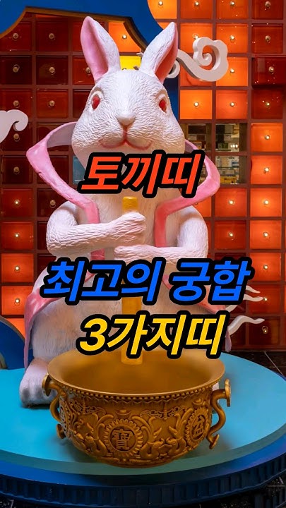 토끼띠 최고 최악의 궁합 3가지띠 토끼띠 궁합 3가지 Youtube