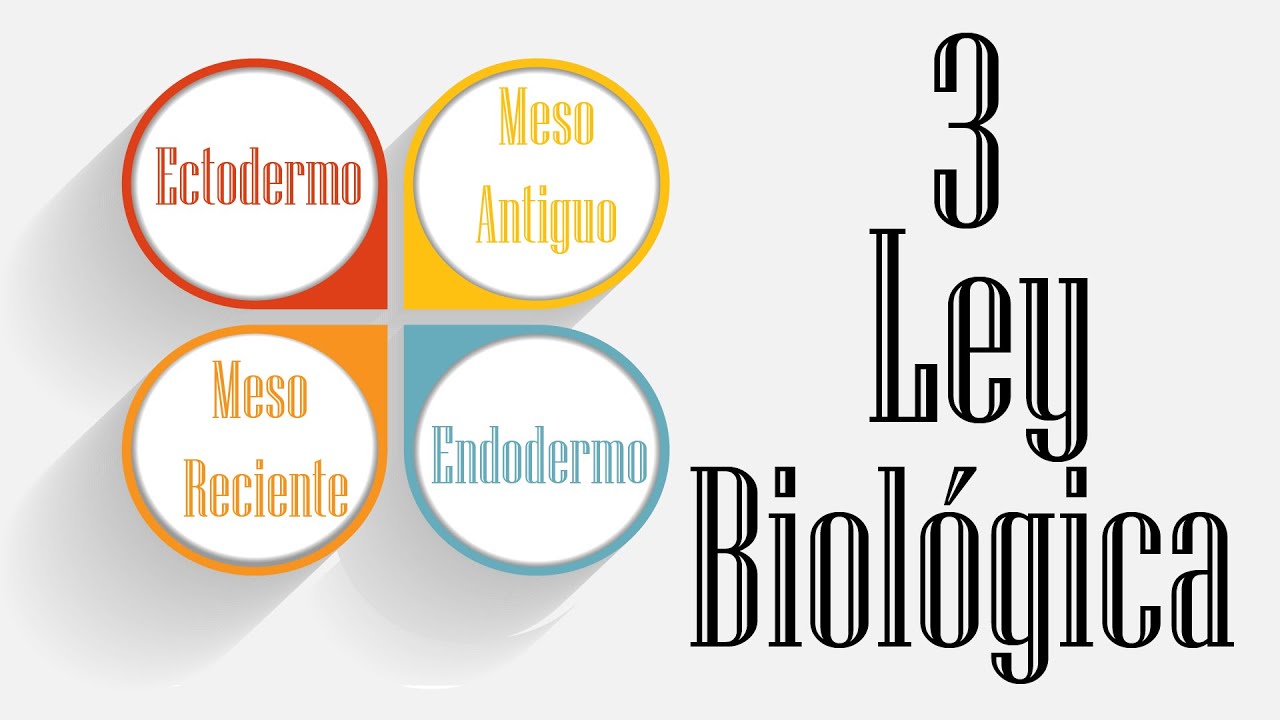 Las 5 leyes biológicas / Tercera ley biológica - YouTube