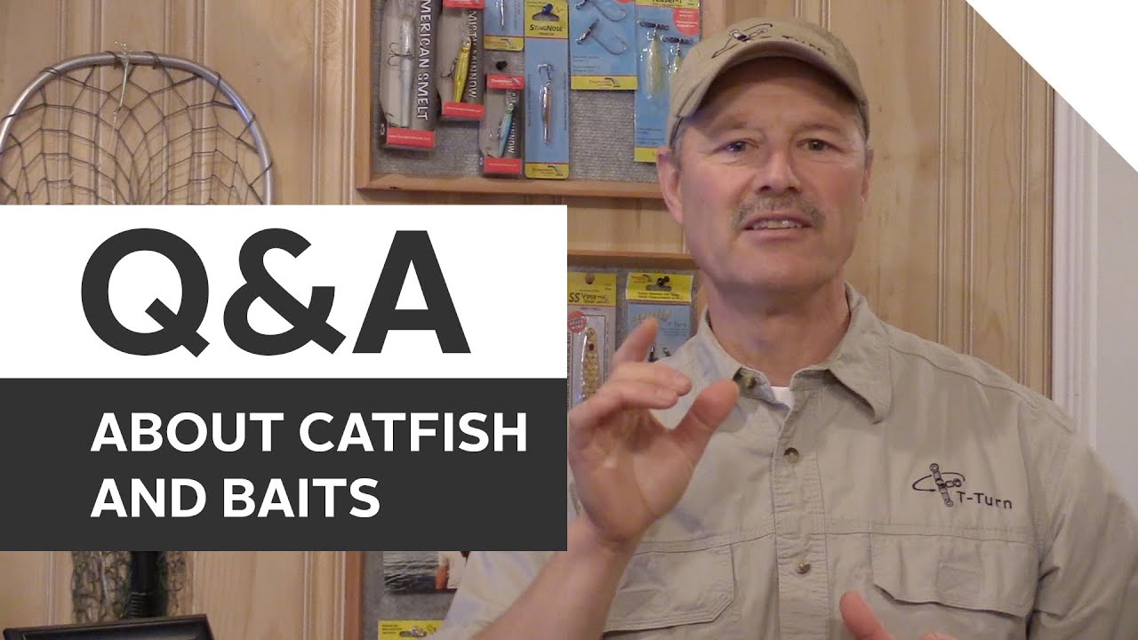 Fishing Q&A - Answers about Catfish: Lip Locking and Baits - YouTube