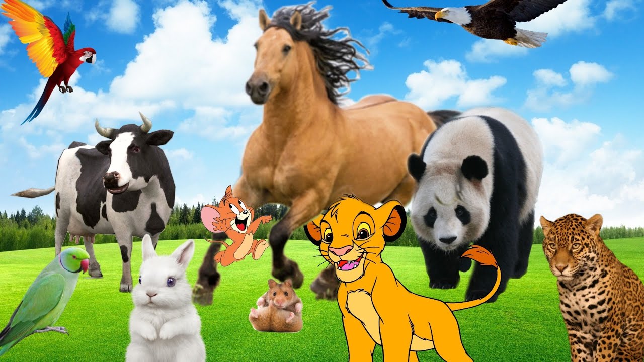 100 funniest ANIMALS - animal moments (cat, dog, tiger, horse, fish ...
