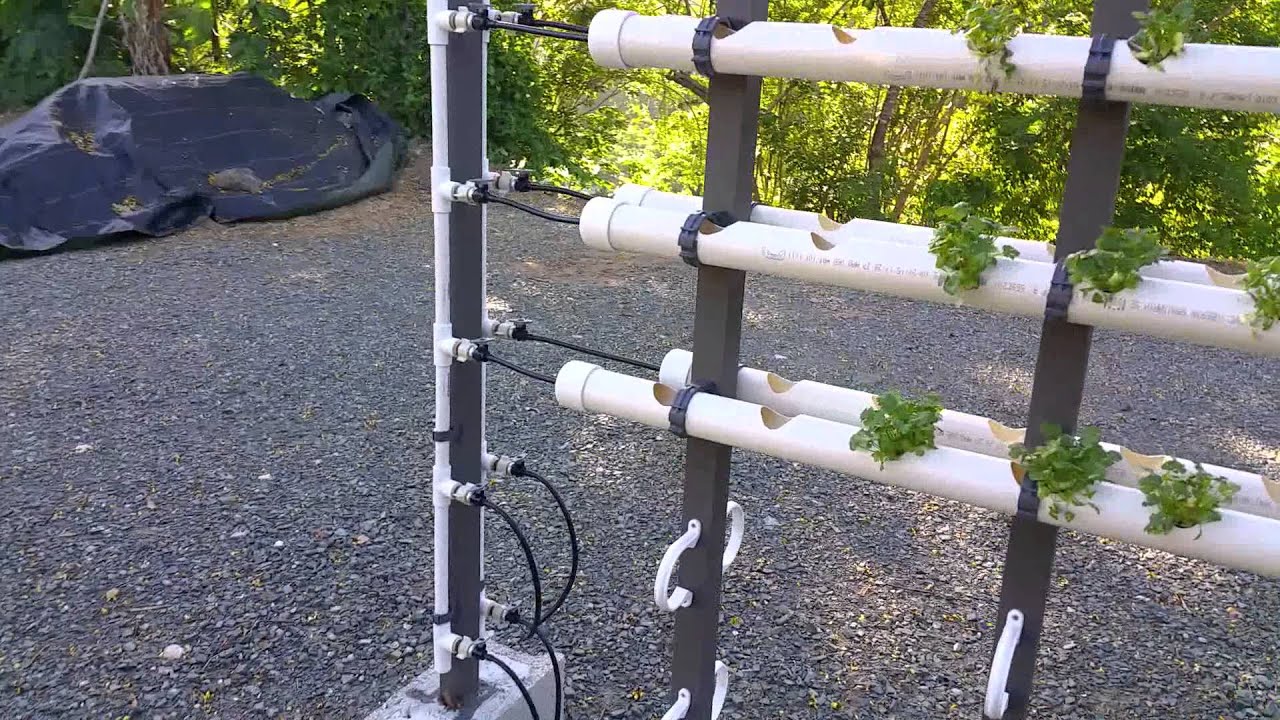 Profesional Wall Hydroponics System - YouTube