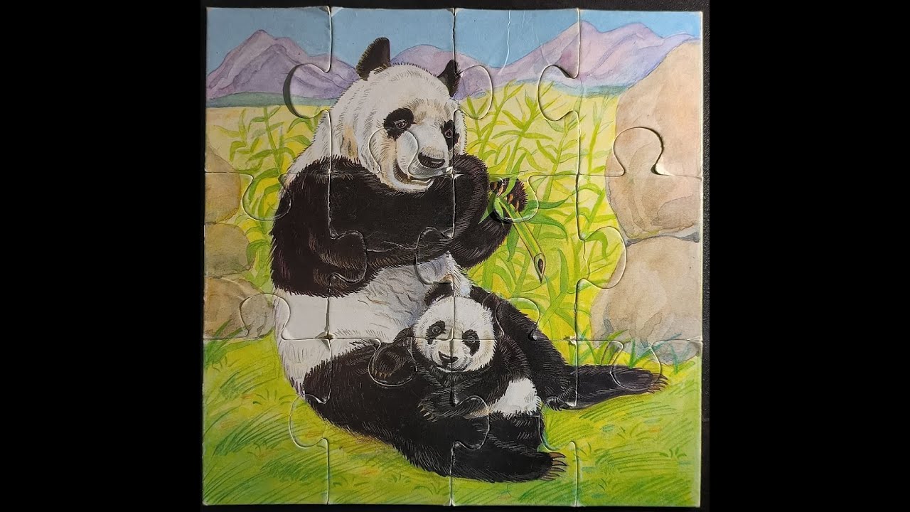 Solve Kids Puzzle Game For Bear Image - Shreevi TV - YouTube