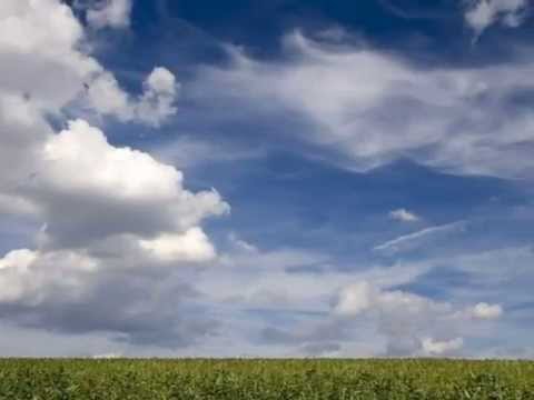 Nikki Giovanni – Nikki Rosa (It Is Well) / Woman Poem (1973, Vinyl ...