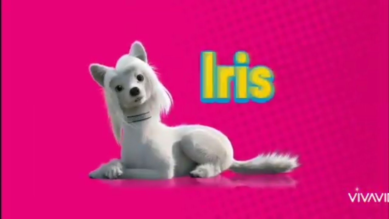 mighty de Laura.. .. Mike, iris, Athos, portos, aramis, fluffy, Freddy ...