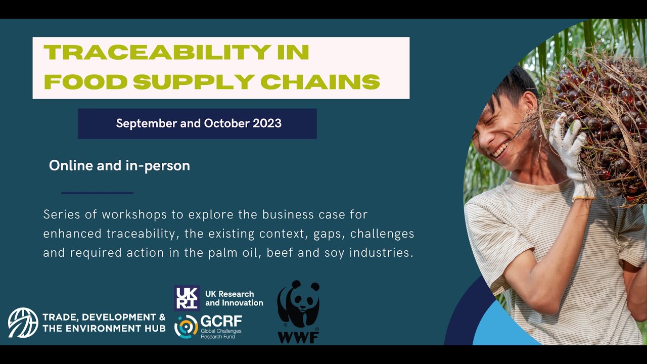 W-2.1: Unlocking the benefits of traceability in palm oil supply chains - YouTube