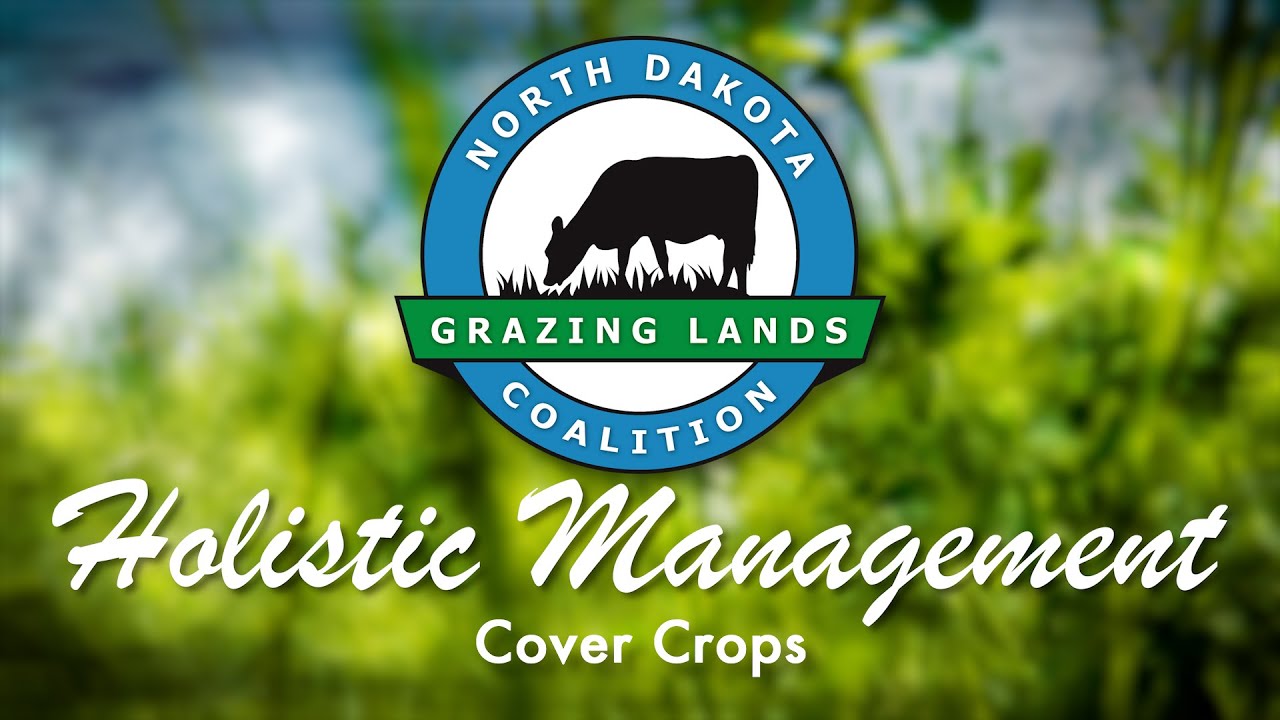 25. Cover Crops with Darrell Oswald - YouTube
