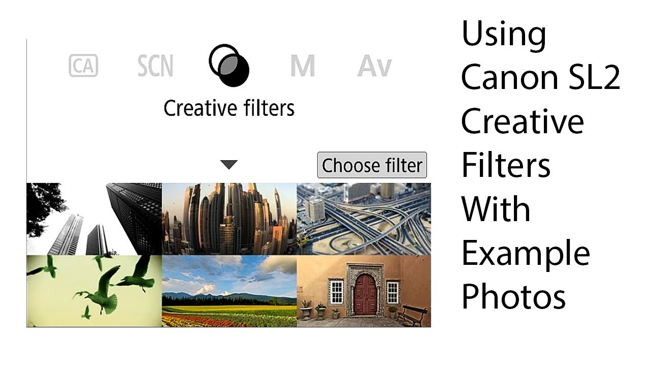 Canon EOS Rebel SL2 / 200D - Using the Creative Filters with example ...