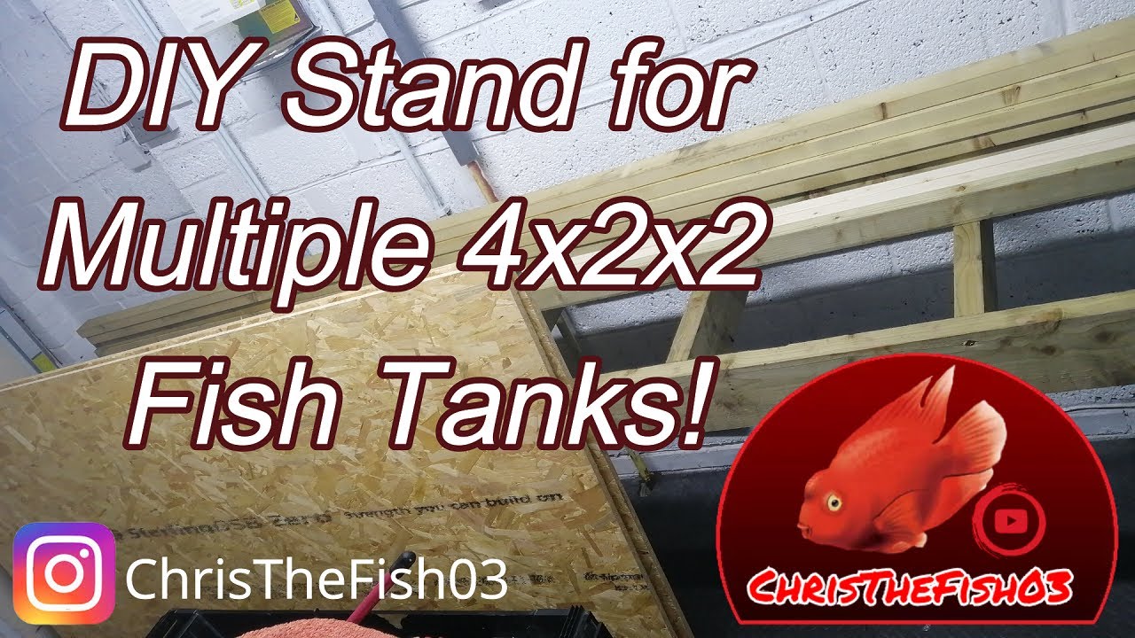 DIY Stand for Multiple 4x2x2 Fish Tanks! - YouTube